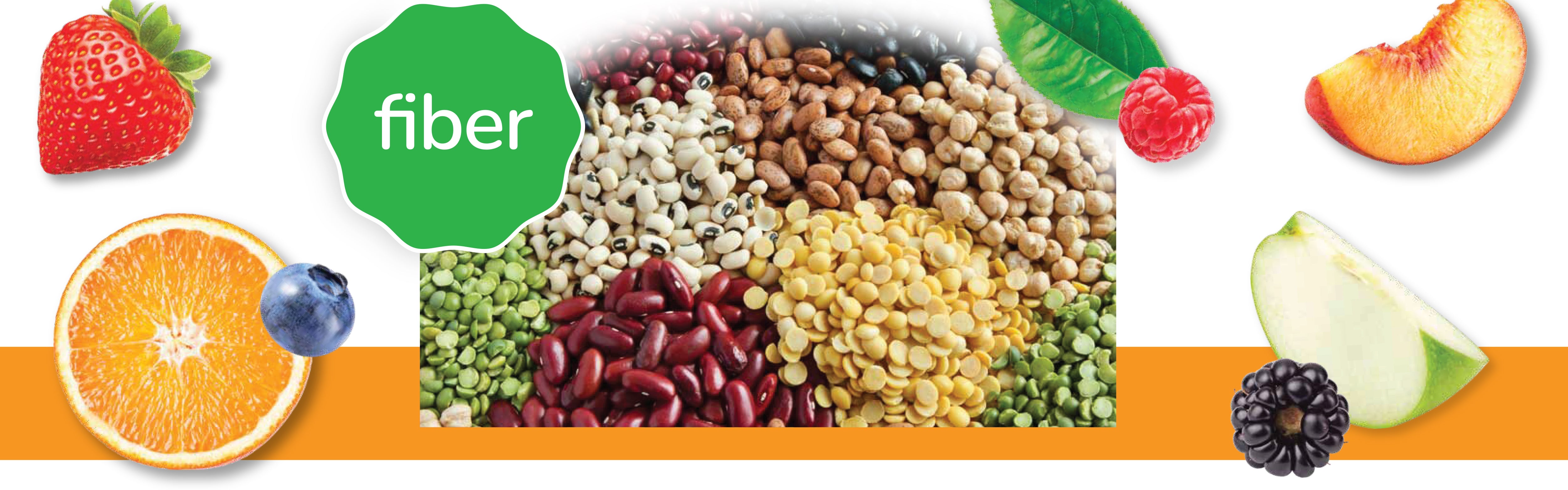 Fiber Gummy Vitamins – Lifeable